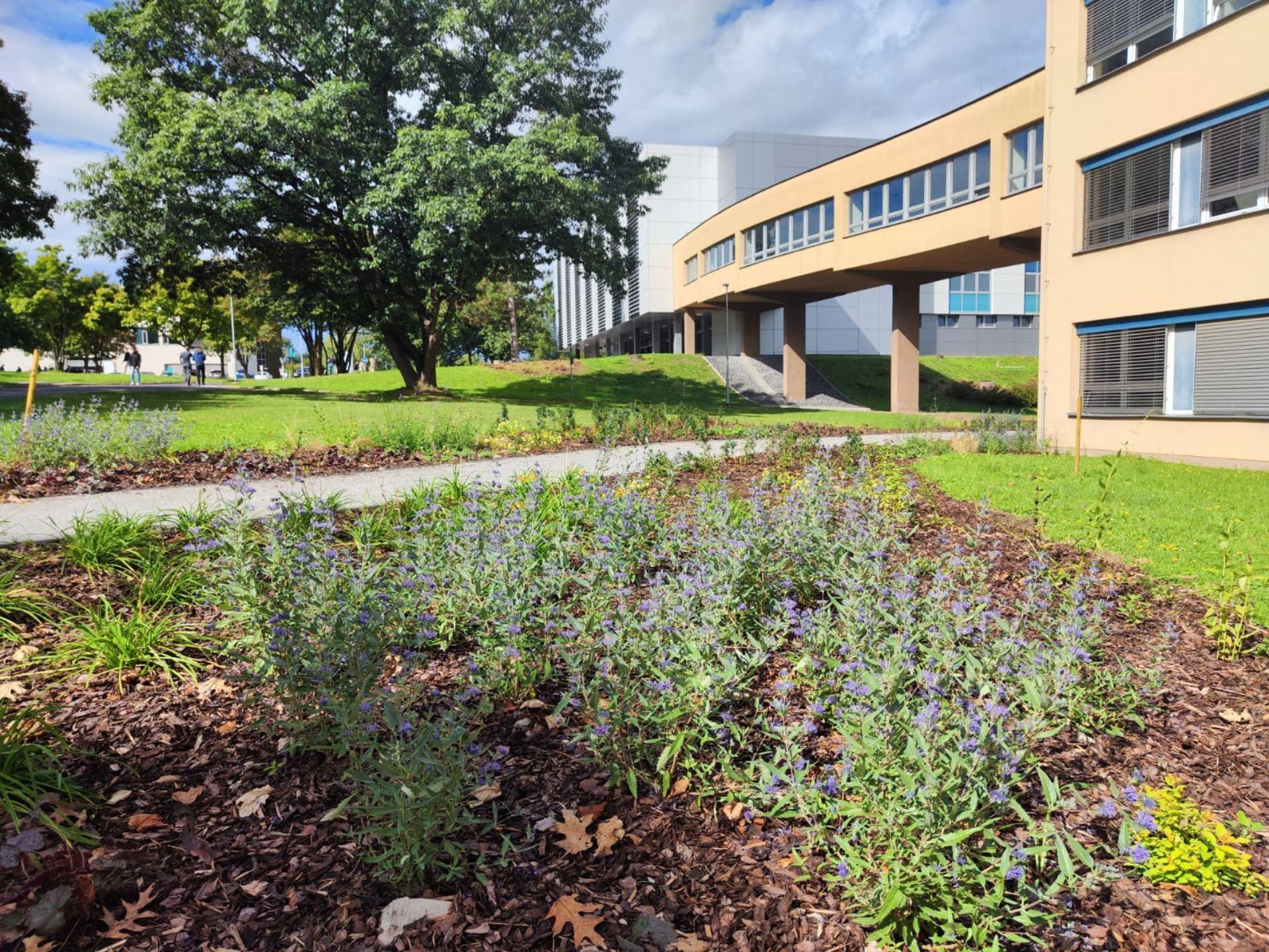 VSB-TUO is transforming its Campus: a better environment for students ...